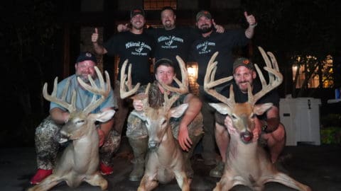Ohio Deer Hunting | Whitetail Heaven Outfitters